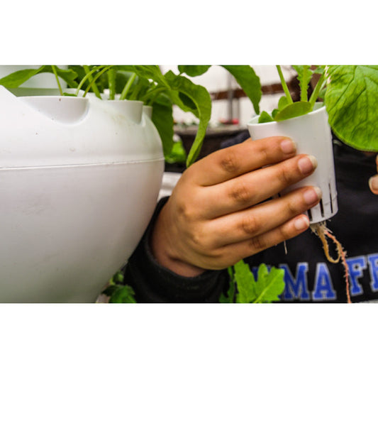 Replacement Net Pots - Set of 12 | Foody Vertical Gardens